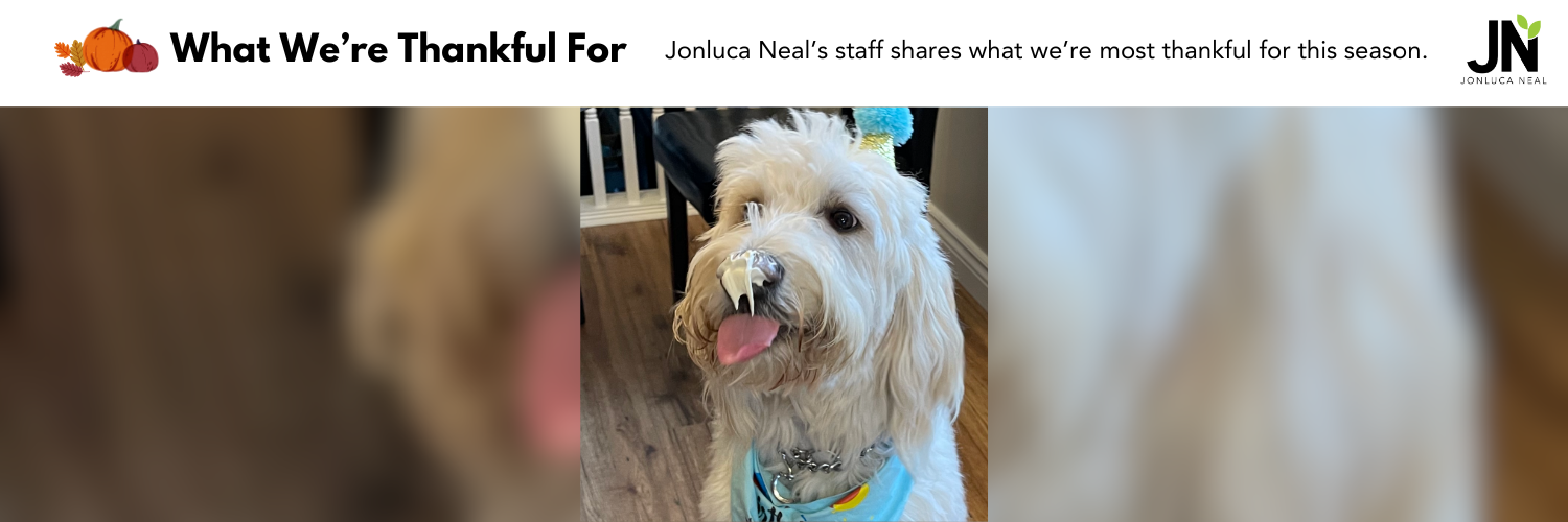 Jonluca Neal – National Distribution. Local Vibe.