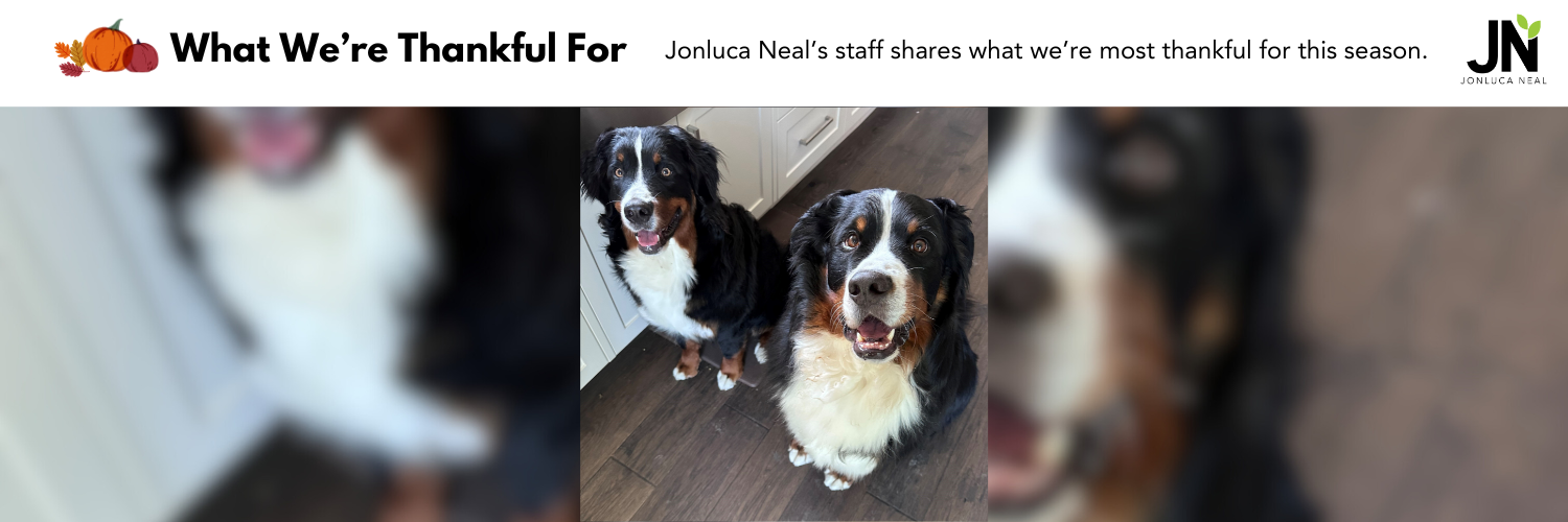 Jonluca Neal – National Distribution. Local Vibe.